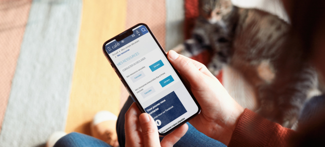 CAF - RSA, Prime d’activité : je déclare le montant net social